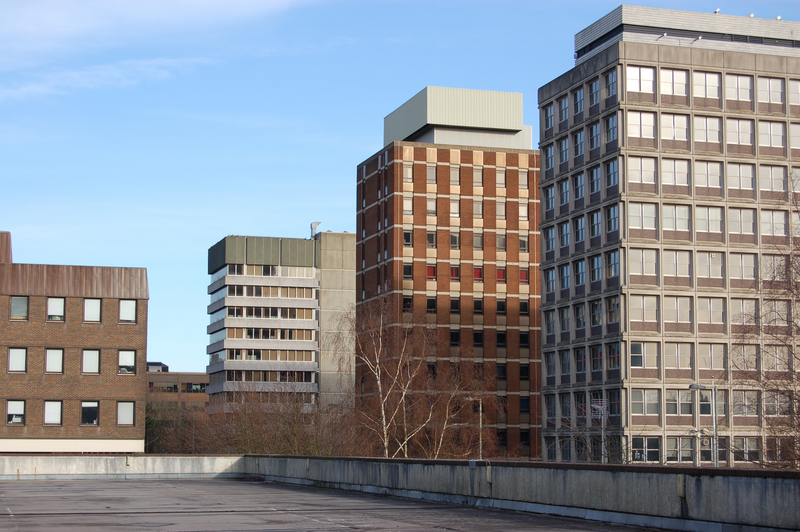 Reinforced Autoclaved Aerated Concrete: guidance and potential ...