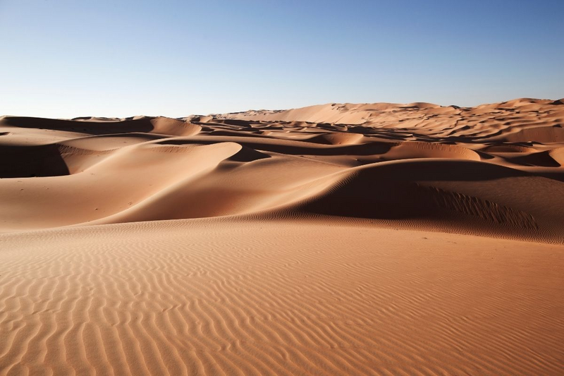 UAE introduces parental leave benefit - Lockton Global Benefits | Lockton