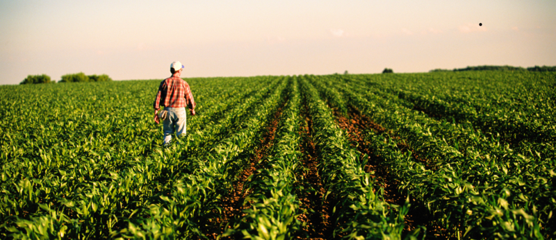 Kristopher Lynn Joins Lockton Re in Bermuda to Drive New Global ...