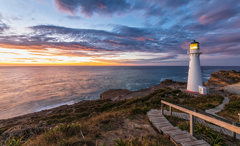 What is Captive Insurance? A Comprehensive Guide in 2025 | Lockton