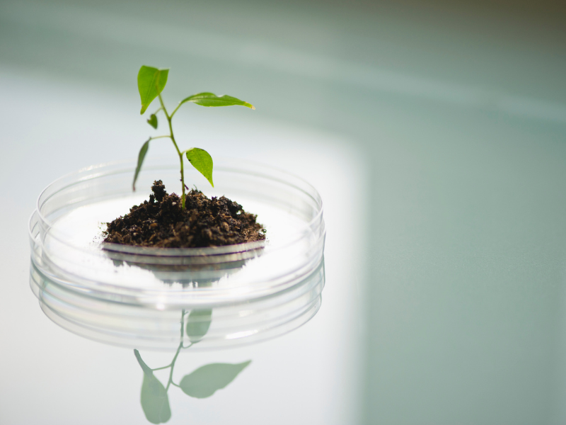 A guide to insurance for life science start ups | Lockton