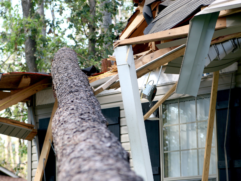 Hurricane Series Part 2: Protecting Your Home | Lockton Hurricane Series Part 2: Protecting Your Home | Lockton